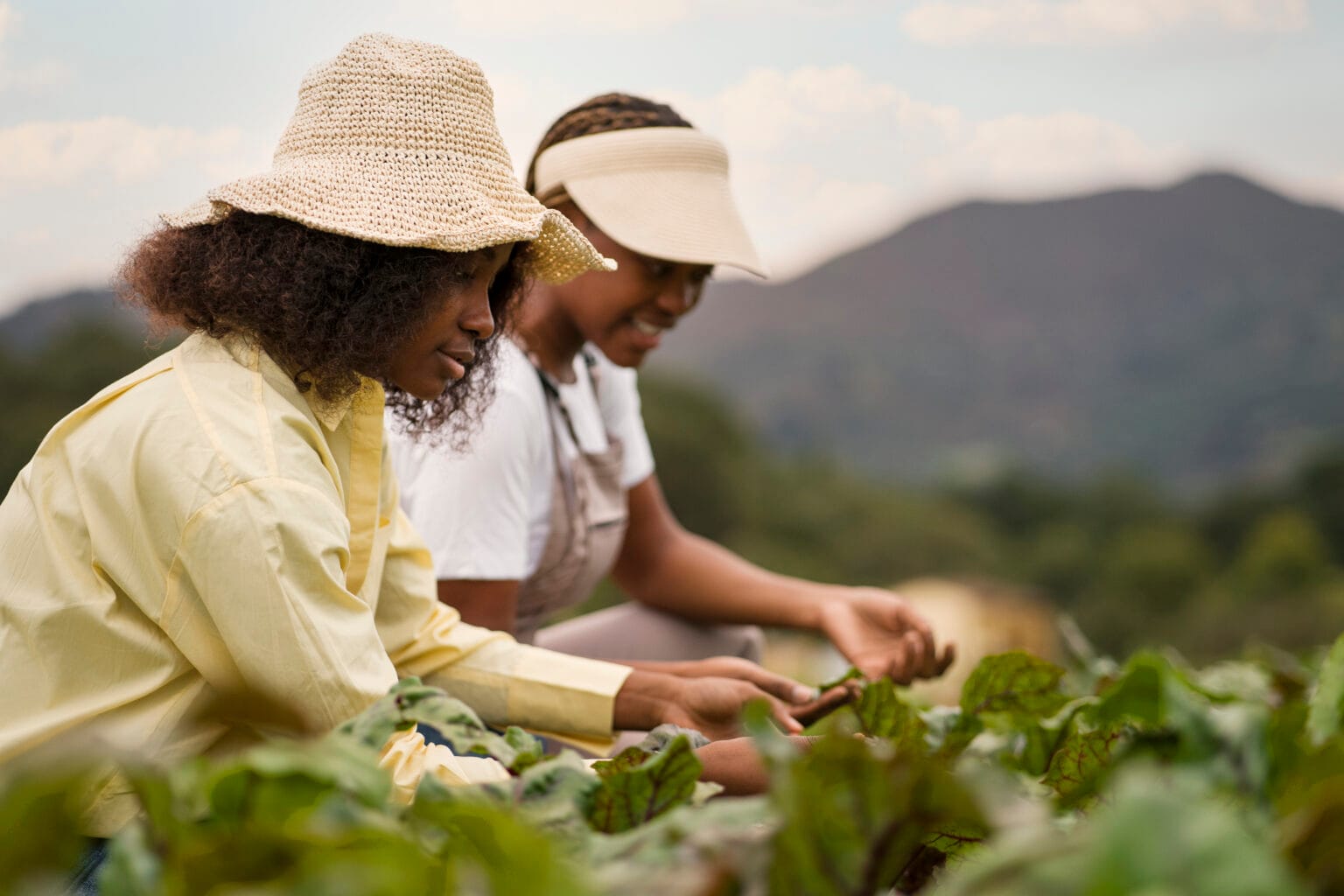 AgriFARM Learnership 2026: Earn R5,800 Monthly While Building a ...
